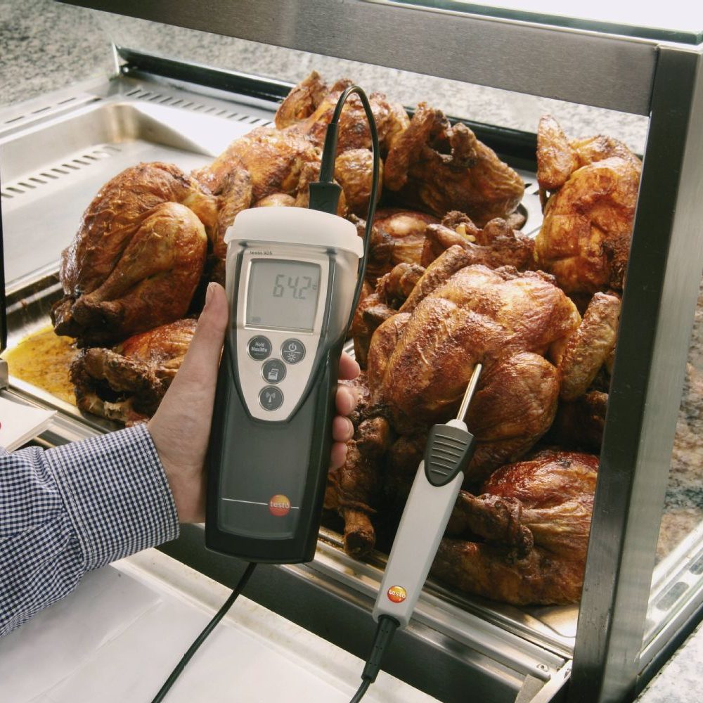 Testo 925 – Probe thermometer - Control Equipment